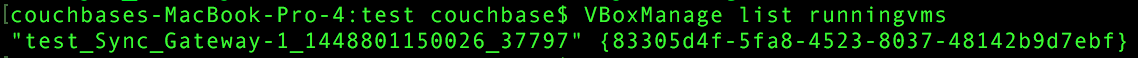 Running Couchbase and Couchbase Sync Gateway with Vagrant
