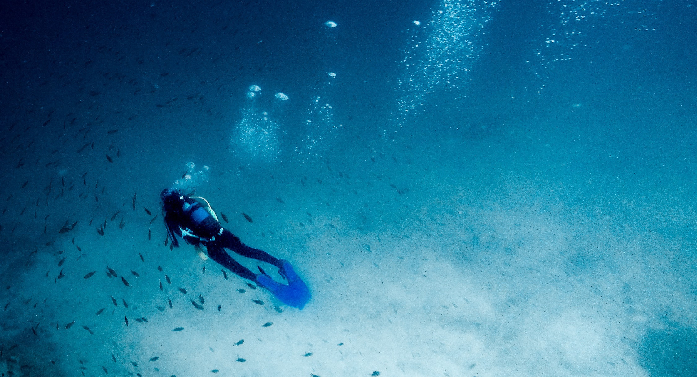 A Deeper Dive Into Couchbase Capella™ - The Couchbase Blog